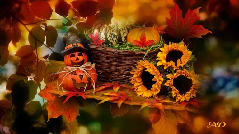 Free Halloween Screensavers Download For Windows and Mac - Mystery ...