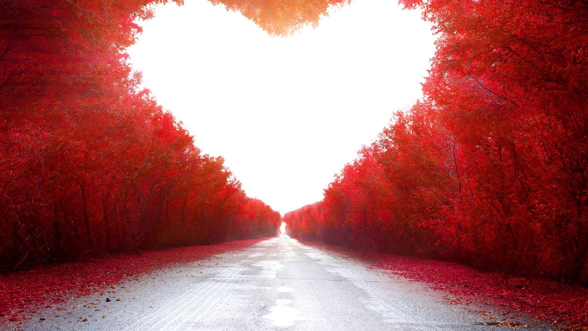 Free Valentine's Day Screensavers and Wallpapers - Mystery Review Crew