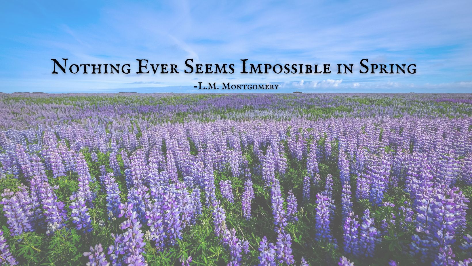 20+ Free Beautiful Spring Screensavers and Wallpapers - Mystery Review Crew